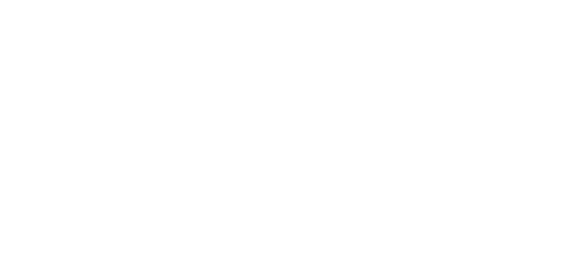 Data Capture | Immersion Data Solutions